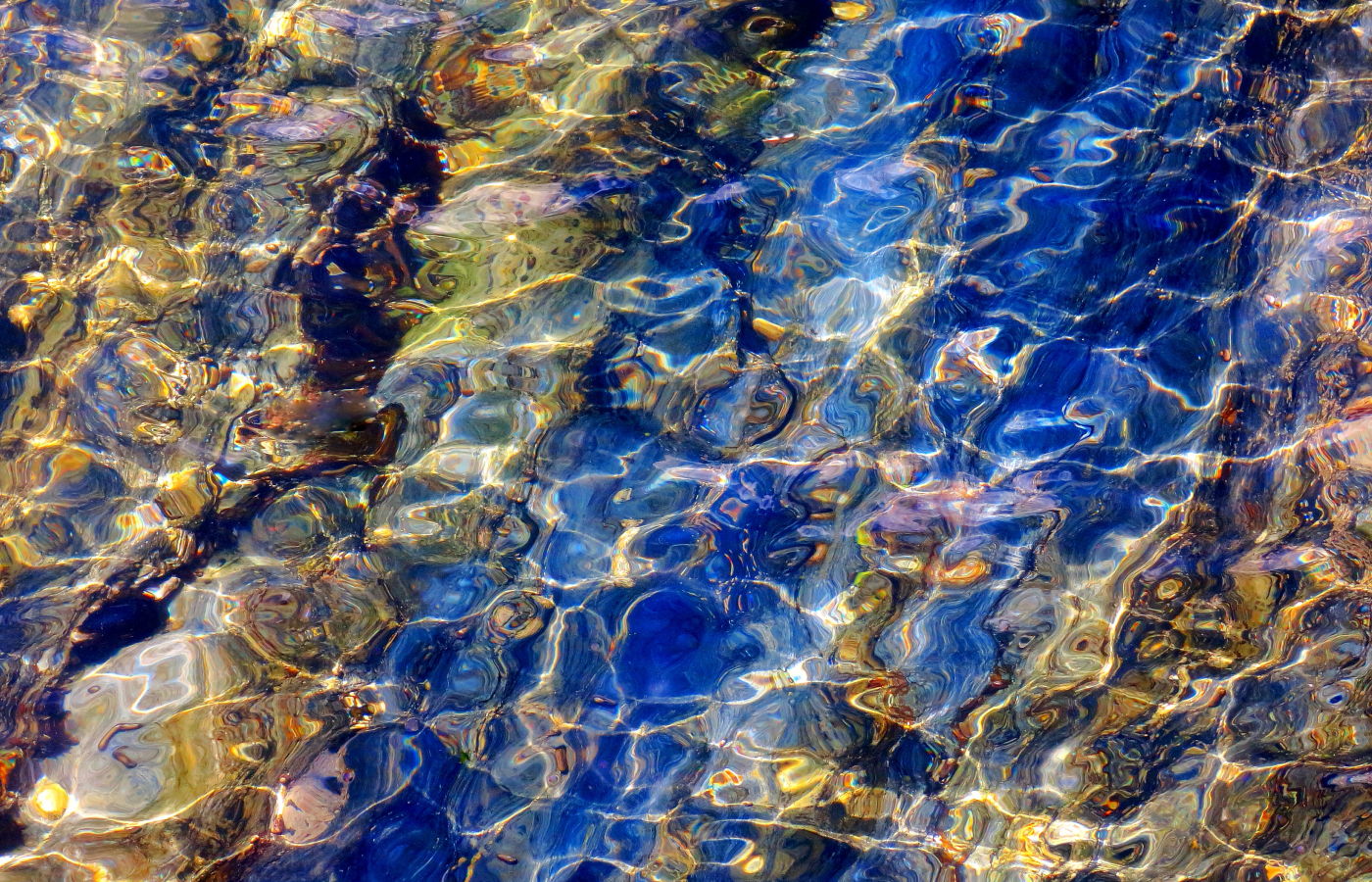 Saltdragon | unique abstract art from Cornwall